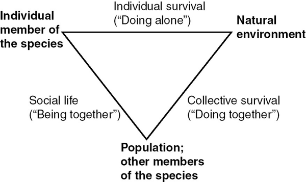 The Evolution of Activity [Activity Theory]